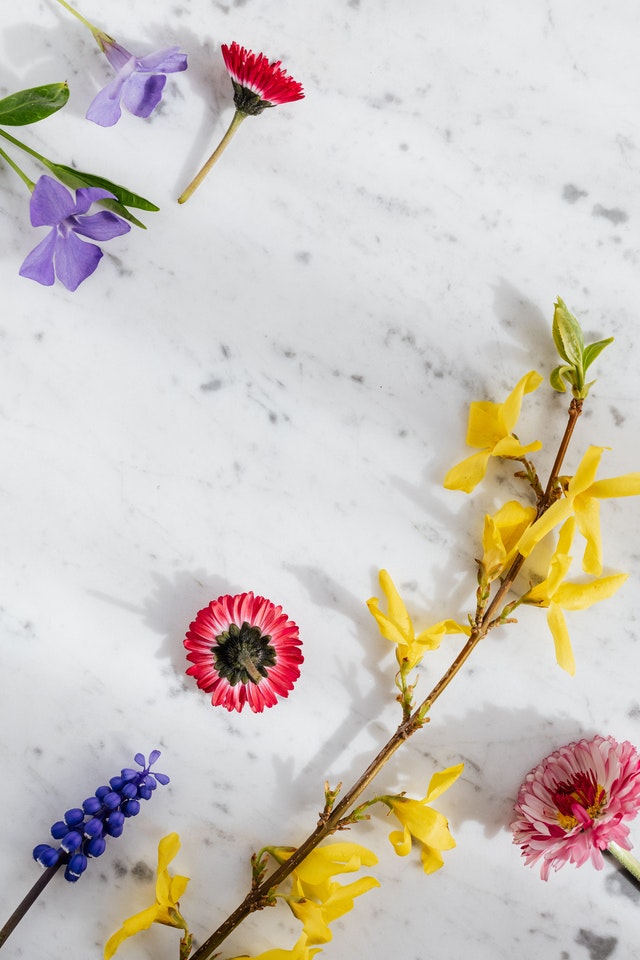 Notre histoire - Florisis